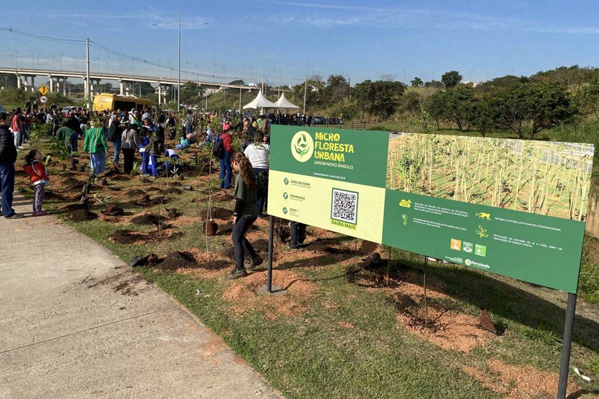 Hortolândia planta 360 árvores e inaugura terceira microfloresta urbana ...